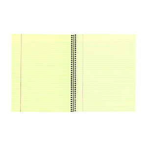 National Brown Board Cover Notebook, Narrow Ruled, 1 Subject, Green Eye-Ease Paper, 10" x 8", 80 Sheets (33008)