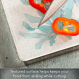 CounterArt Seaside 3mm Heat Tolerant Tempered Glass Cutting Board 15” x 12” Manufactured in the USA Dishwasher Safe