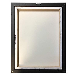 Minnesota Loon And Chick Professionally Framed Giclee Archival Canvas Wall Art for Home & Office from Watercolor by Artist Dave Bartholet 30" x 45"