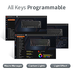 RK ROYAL KLUDGE RK61 60% Mechanical Keyboard with Coiled Cable, 2.4Ghz/Bluetooth/Wired, Wireless Bluetooth Mini Keyboard 61 Keys, RGB Hot Swappable Red Switch Gaming Keyboard with Software - Black