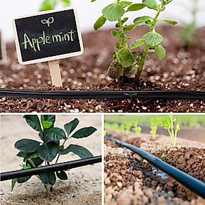 Flantor Garden Irrigation Tubing,1/4" Blank Distribution Tubing 50ft Flexible Tubing,Watering Drip Automatic Irrigation Equipment Set for Garden Greenhouse,Flower,Patio,Lawn (50 ft)