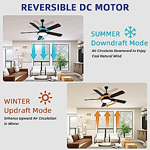 Obabala Ceiling Fan with Light, Indoor and Outdoor Ceiling Fans with Lights and Remote, 52" Modern Ceiling Fan Reversible DC Motor-Matte Black,Patios/Farmhouse