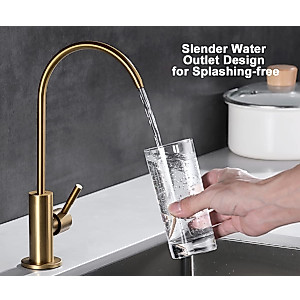 ESOW Kitchen Water Filter Faucet, 100% Lead-Free Drinking Water Faucet Fits Most Reverse Osmosis Units or Water Filtration System in Non-Air Gap, Stainless Steel 304 Body Brushed Gold Finish