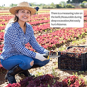 Linsen-outdoor Fixed Blade Knife With Sheath Camping Knife Outdoor 4 Inch Single Edge Blade Stainless Steel Sharpe Survival Knives For Garden Grafting