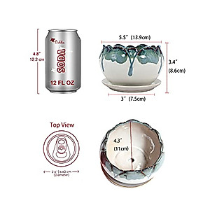 Dahlia 5.5'' Inch Rustic Drip Glazed Ceramic Planter/Succulent Pot/Plant Pot w. Saucer/Tray