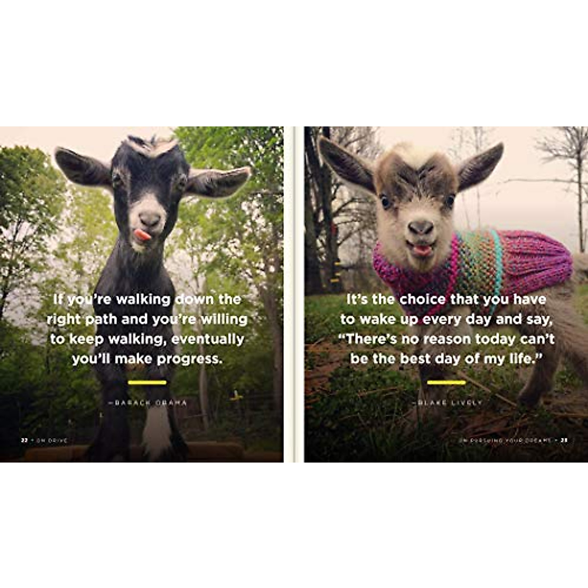 You've Goat This: Wisdom to Get You Through the Good, the Baaad, and Everything in Between