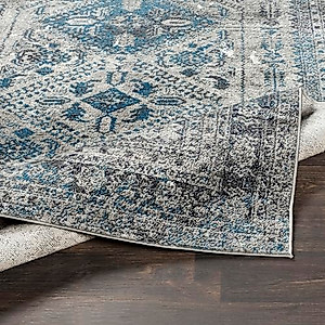 Livabliss Desta Vintage Oriental Area Rug,5'3" x 7'3",Blue/Grey