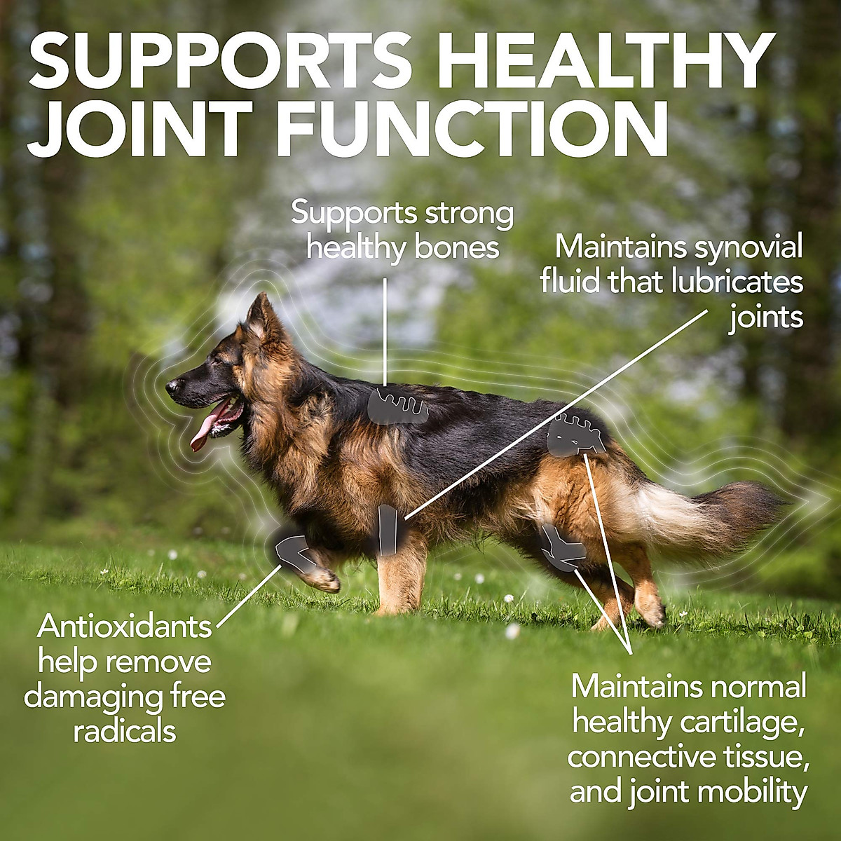 Vet's Best Advanced Hip & Joint Dog Supplements | Formulated with Glucosamine and Chondroitin to Support Dog Joint and Cartilage Health (90 Tablets, 2 Pack)