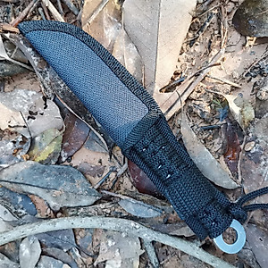 Bundle of Item - EDC Spring Assist Folding Pocket knife + Fixed Blade Tanto Knife Camping Knives with Paracord Handle