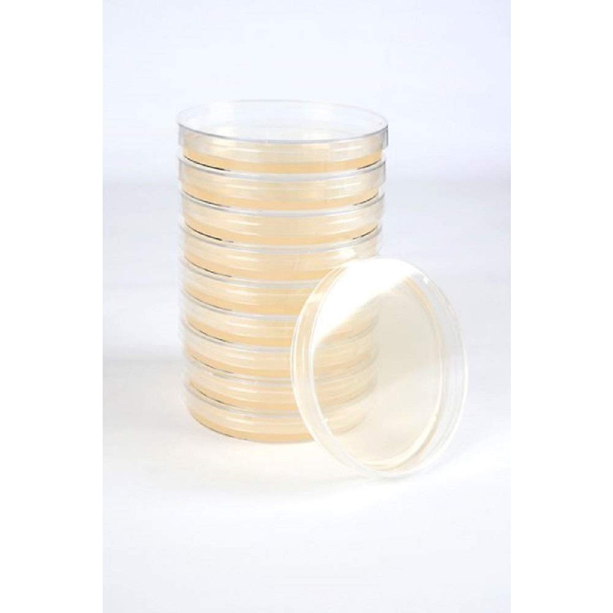 Tryptic Soy Agar (TSA), with Typtone & Soytone, General Growth Medium, (10-Pack), Pre-Poured 15x100mm Petri Plates