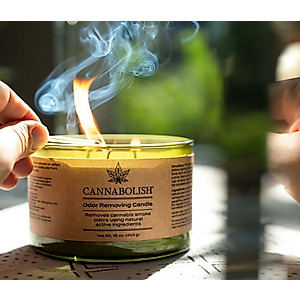 Cannabolish Odor Removing 3-Wick Candle, 16 oz