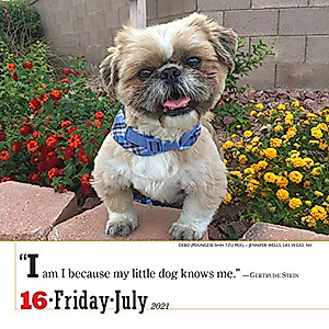 365 Dogs Page-A-Day Calendar 2021