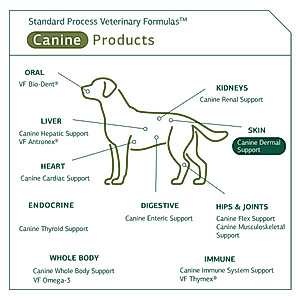 Standard Process Canine Dermal Support - Skin & Adrenal Gland Support Supplement - Comprehensive Skin Health Support Supplement for Dogs - Daily Immune & Liver Support Powder - 30 g