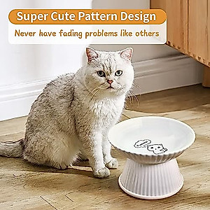 6.5" Extra Wide Ceramic Elevated Cat Bowl, Whisker Friendly Raised Cat Food Bowl for Food and Water, Anti-Vomiting High Cat Dish for Indoor Cats with Non-Slip Ring, Dishwasher Safe & Microwaveable