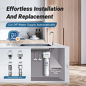 Maxblue U8-ST Under Sink Water Filter System, 2 Years High Capacity, Reduces Lead, Chlorine, Heavy Metals, Bad Taste & Odor, Under Counter Water Filter Direct Connect to Kitchen Faucet, USA Tech