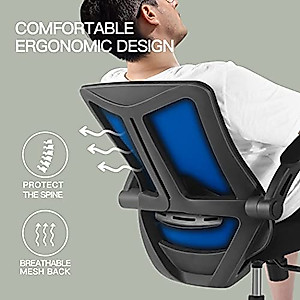 Eognyzie Ergonomic Home Office Desk Chairs with Wheels for Computer Gaming Work Chair with Adjustable Ergonomic Back Support, Mesh Chair with Adjustable Lumbar Support for Home Office Work