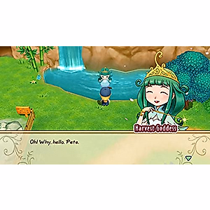 Story of Seasons: Friends Of Mineral Town (PS4)