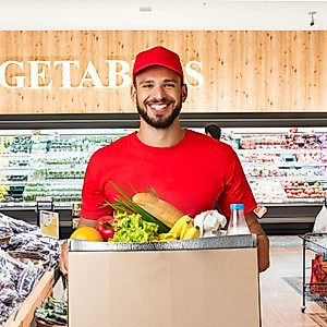 ZEAYEA 10 Pack Insulated Shipping Bags, 13.2" x 8.7" x 13.2" Thermal Box Liners for Frozen and Hot Food, Large Waterproof Reusable Insulation Bags for Shopping Bag Insulation Lining Camping Picnic