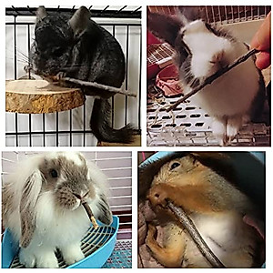 Syhemtya Chinchilla Toys Hamster Chew Toys Guinea Pig Toys Rat Toys Hamster Cage Accessories Small Animal Teeth Care Apple Wooden Accessories Set,Ball Ladder Bridge Swing Roller for Playground