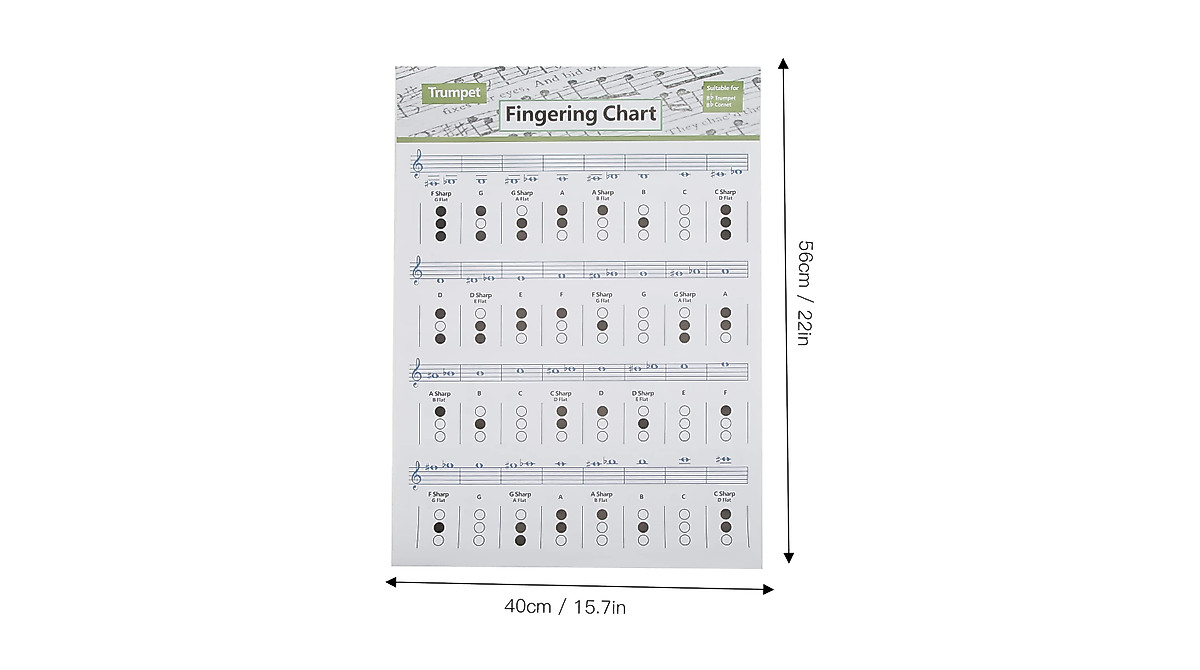 Trumpet Chord Chart - Essential Fingering Guide