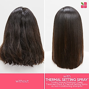 Biolage Thermal Active Spray | Heat Styling Treatment Adds Body & Volume | Paraben-Free | Vegan | 8.4 Fl Oz