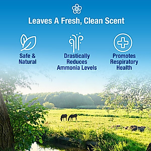 MICROBE-LIFT Horse Manure & Urine Eliminator for Use in Stables and Barns, Use on all Surfaces and Supplies, Ammonia Reducer, Highly Concentrated Formula, 1 Gallon