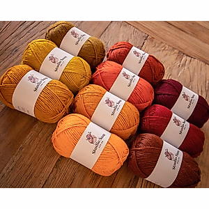 Studio Sam Acrylic Yarn Set. Ten Large 50g Skeins. Total 1030 Yards. for All Knitting, Crochet and Craft Projects. Orange and Brown (Autumn Collection)