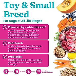 Solid Gold Nutrientboost Mighty Mini Small Breed Dog Food - Dry Dog Food Made with Real Lamb for Any Toy Breed - Grain & Gluten Free Recipe for Gut Health & Sensitive Stomach Support - 3.75 LB Bag