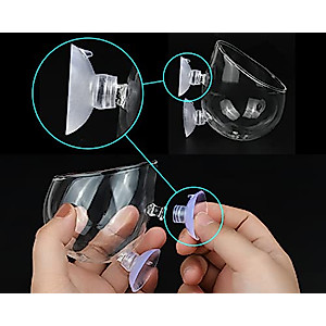 DS. DISTINCTIVE STYLE Aquatic Plant Cups 2 Pieces Crystal Glass Plant Pot with 2 Suction Cups for Aquarium Decoration