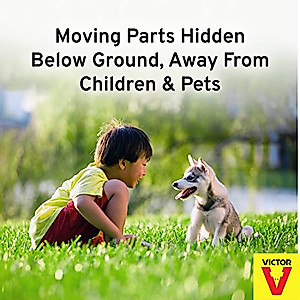 Victor M9013 Poison Free Outdoor Gopher Trap