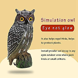 AMONIDA Prowler Owl Garden, Prowler Owl, Eye/Eye Not Backyards for Garden Yard(Ordinary Paragraph)