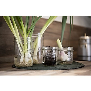 Le Parfait Familia Wiss Terrine Wide Mouth French Glass Jar w/Airtight 2-Piece System Gold Lids | Ideal for Food Storage, Canning, Meal Prep, Cake Jar & DIY Crafts | 24oz Pint/Half (Pack of 6) 750ml