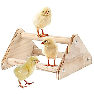 GINTUTO Chicken Perch Strong Pine Wooden Chick Jungle Gym Roosting Bar, Chick Perch Toys for Coop and Brooder for Large Bird Baby Chicks Parrot (Small)