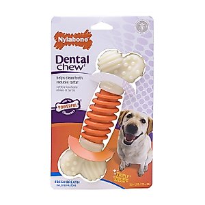 Nylabone Dental Pro Action Bone Dog Chew Toy, Bacon, Large