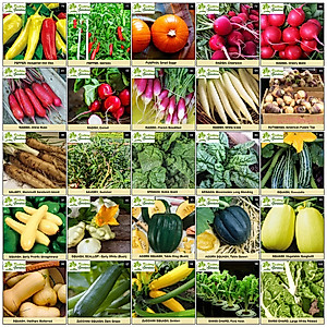 Garden Seeds Vegetable Variety Pack for Planting - Grow 125 Varieties of Heirloom Non GMO Quick Sprouting Veggies - Premium ​Seed Vault by Victory Gardens