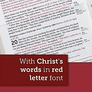 Tyndale NIV Life Application Study Bible, Third Edition, Large Print (Hardcover, Indexed, Red Letter) – New International Version – Large Print Study Bible for Enhanced Readability