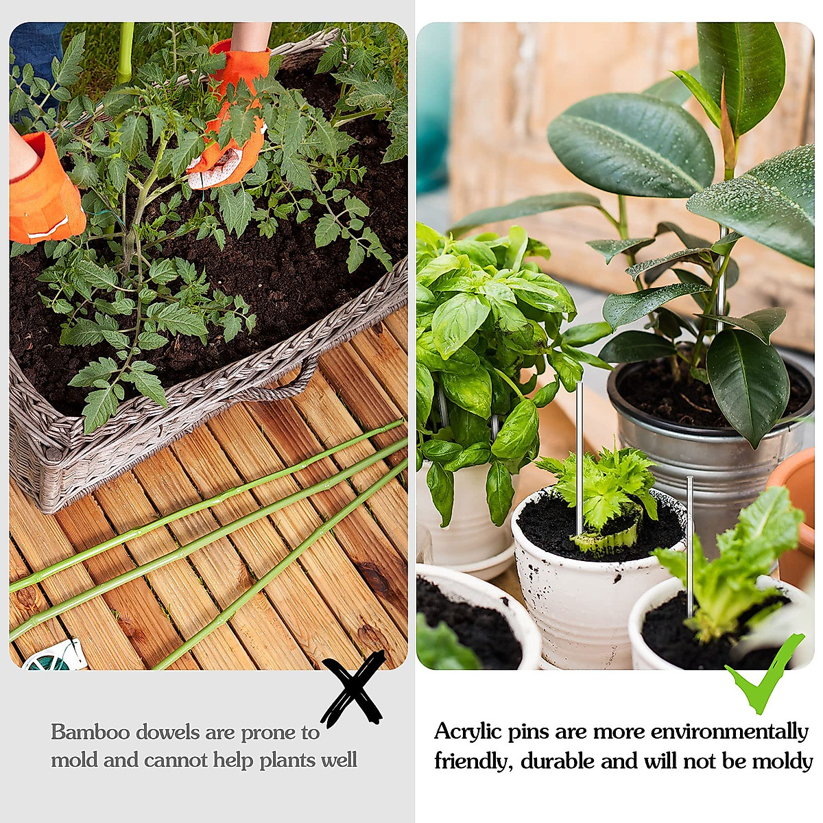 200 Pieces Acrylic Lollipop Sticks Cake Pops Sticks Candy Sticks Treat Sticks for Wedding Halloween Christmas Candy Cake Pops Cupcake Toppers Chocolate Cookie Dessert(Clear, 6 Inch)