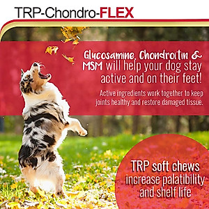 HealthyPets PHS TRP-Chondro-Flex Joint Support Supplement for Dogs - Glucosamine, MSM, Chondroitin - Hip and Joint Pain Relief and Support - Made in USA - 120 Soft Chews