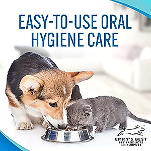 EBPP Advanced Pet Dental Care Water Additive - Premium Cat & Dog Dental Care and Dog Breath Freshener - No Brush Formula Tartar & Plaque Remover for Dogs Teeth