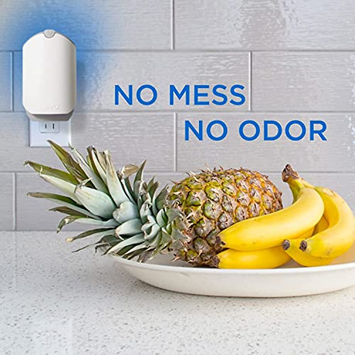 mask helper Zevo Flying Insect Trap Starter Kit Bundled with Zevo Flying Insect Trap Refill Cartidges & sticky fruit fly trap White, (MH-001)