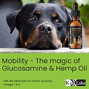 Busters Hip and Joint Hemp Oil for Dogs Formula with Glucosamine, 2Pack 2Month Supply, Pain Relief for Cats, and Pets, Advanced Mobility Support
