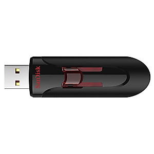 SanDisk 16GB (10 Pack) Cruzer Glide USB 3.0 Flash Drive SDCZ600-016G Bundle with (1) GoRAM Black Lanyard (16GB, 10 Pack)