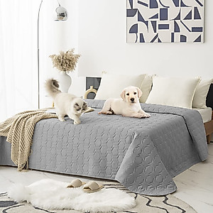 Tcksstex Waterproof and Anti-Slip Dog Bed Cover and Pet Blanket Sofa Pet Bed Mat ，car Incontinence Mattress Protectors Furniture Couch Cover for Most Cats Dogs, Pets