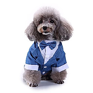 Dog Blue Tuxedo, Dog Formal Clothes, Puppy Wedding Tux, Small Dog Suit and Tie, Business Suit for Dog Blue Large