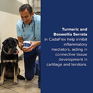 Dr. Jeff Werber Performance Flexx Joint Chews for Dogs - Soft Chew Treats with Tasty Flavor - Support Joint Function, Cartilage Development & Mobility - for Pets Over 60lbs (Large/XL)