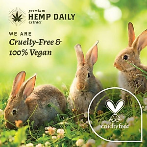 Hemp Daily Triple Strength Intensive Cream | Topical Salve with Essential Oils | Vegan, Organic Ingredients | Classic Mint, 1.70 Ounce | Single