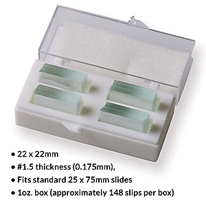 Globe Scientific 1404-15 Cover Glass, 22 x 22mm, #1.5 Thickness (Case of 10)