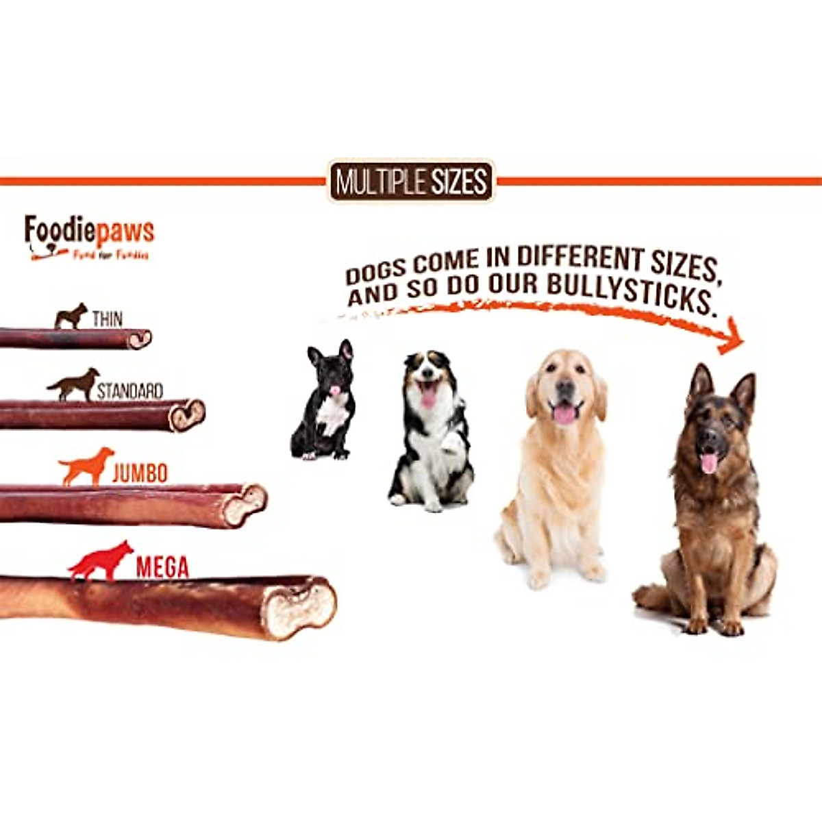 FOODIEPAWS All Natural 6-inch Mega Bully Sticks Odor Free USA Packed for Medium, Large Dogs-100% Free-Range Grass-Fed Beef-Single Ingredient & Rawhide Free-Longer Lasting Dental Dog Chews 15 Pcs