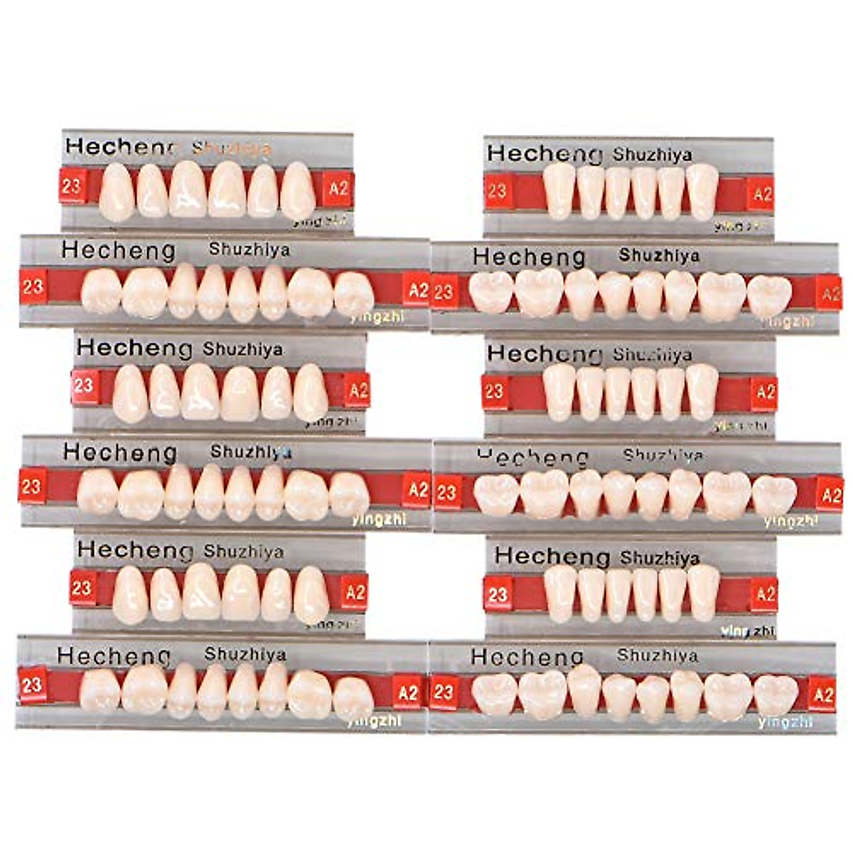 Angzhili 84 Pcs Dental Complete Acrylic Resin Denture False Teeth 3 Sets Synthetic Polymer Resin Denture Teeth 23 Shade A2 Upper + Lower Dental Materials
