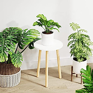Plant Stand Indoor, 16.5 in Tall Plant Stand Indoor, Wood Plant Stand White, Plant Stool, Plant Stands for Indoor Plants, Small Side Table, Plant Tables, Small Round Mid Century Modern Plant Stand